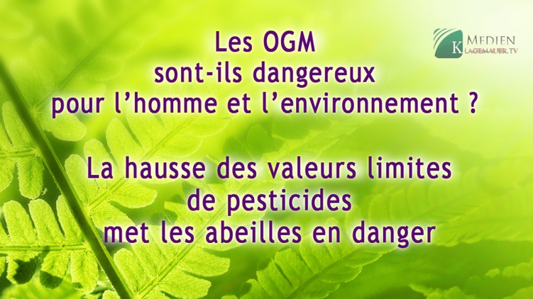 Les OGM sont-ils dangereux pour l’homme et l’environnement ? La hausse ...