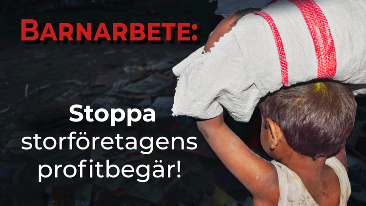 Barnarbete: Stoppa storföretagens profitbegär! - Svenska | Medien ...