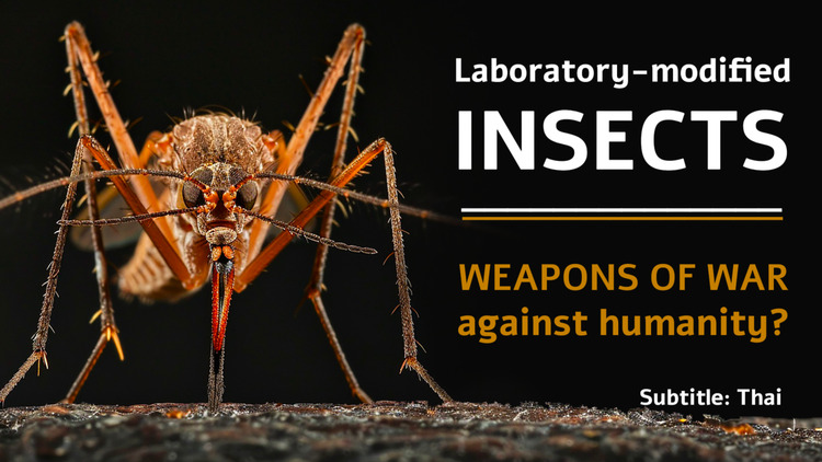 Insects modified in the laboratory – weapons of war against humanity ...