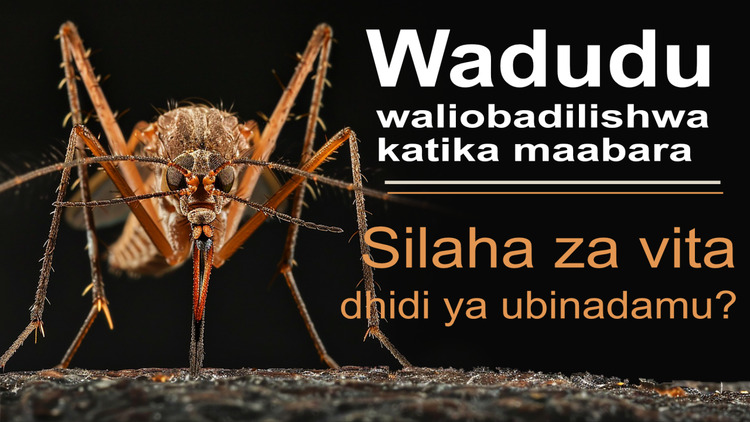 Wadudu waliobadilishwa katika maabara - silaha za vita dhidi ya ...