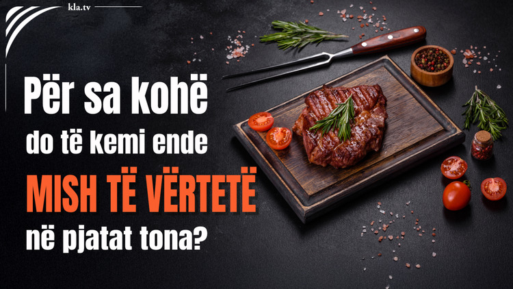 Për sa kohë do të kemi ende mish të vërtetë në pjatat tona? - Shqip ...